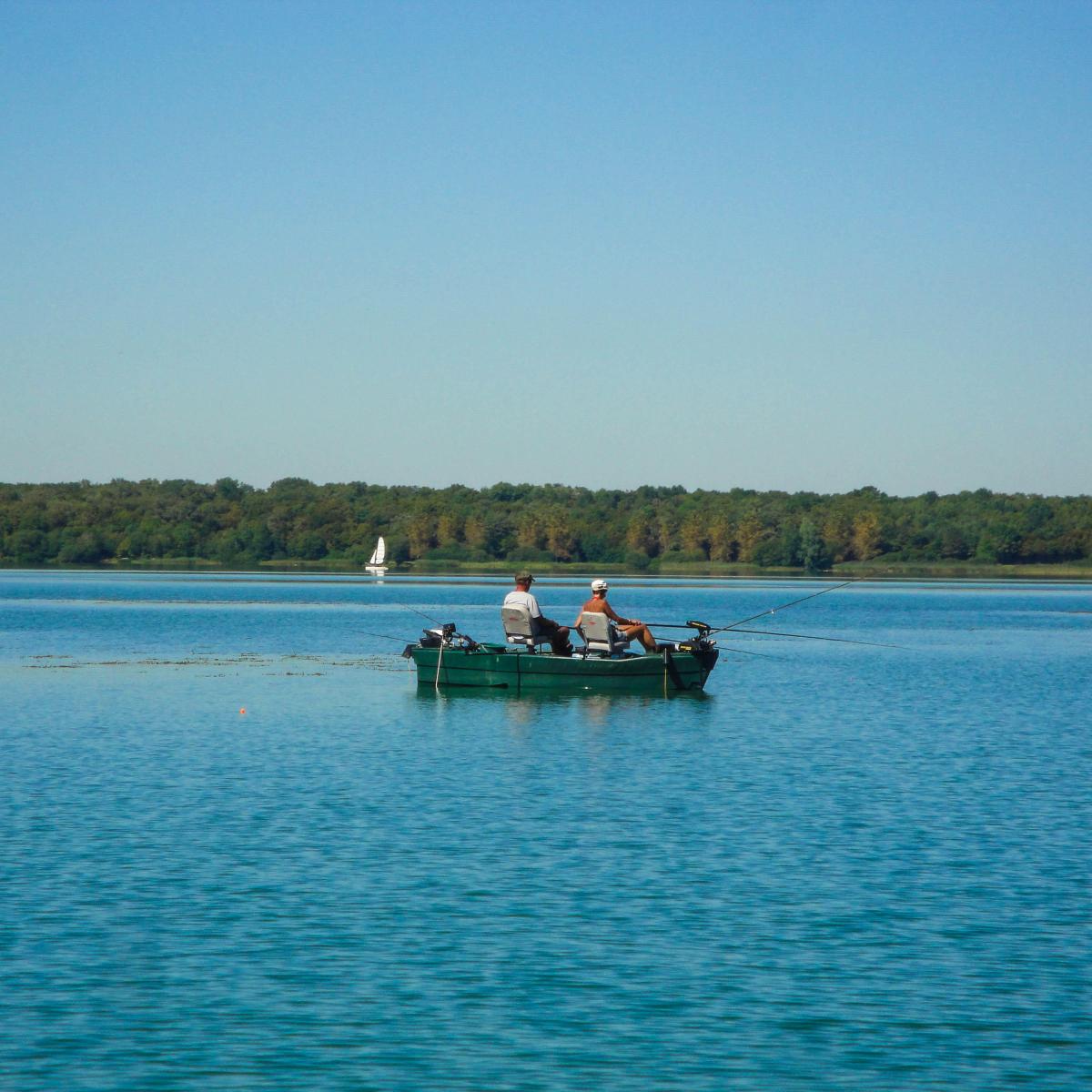 Webcam | Lac de Madine – Votre base de loisirs en Lorraine