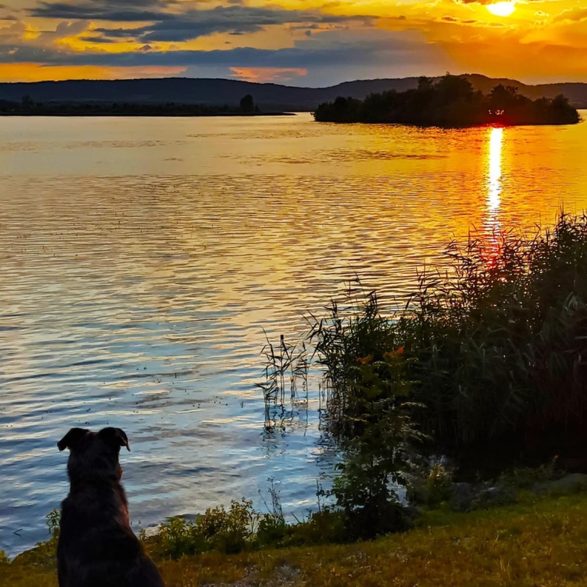Lac de Madine – Your leisure centre in Lorraine